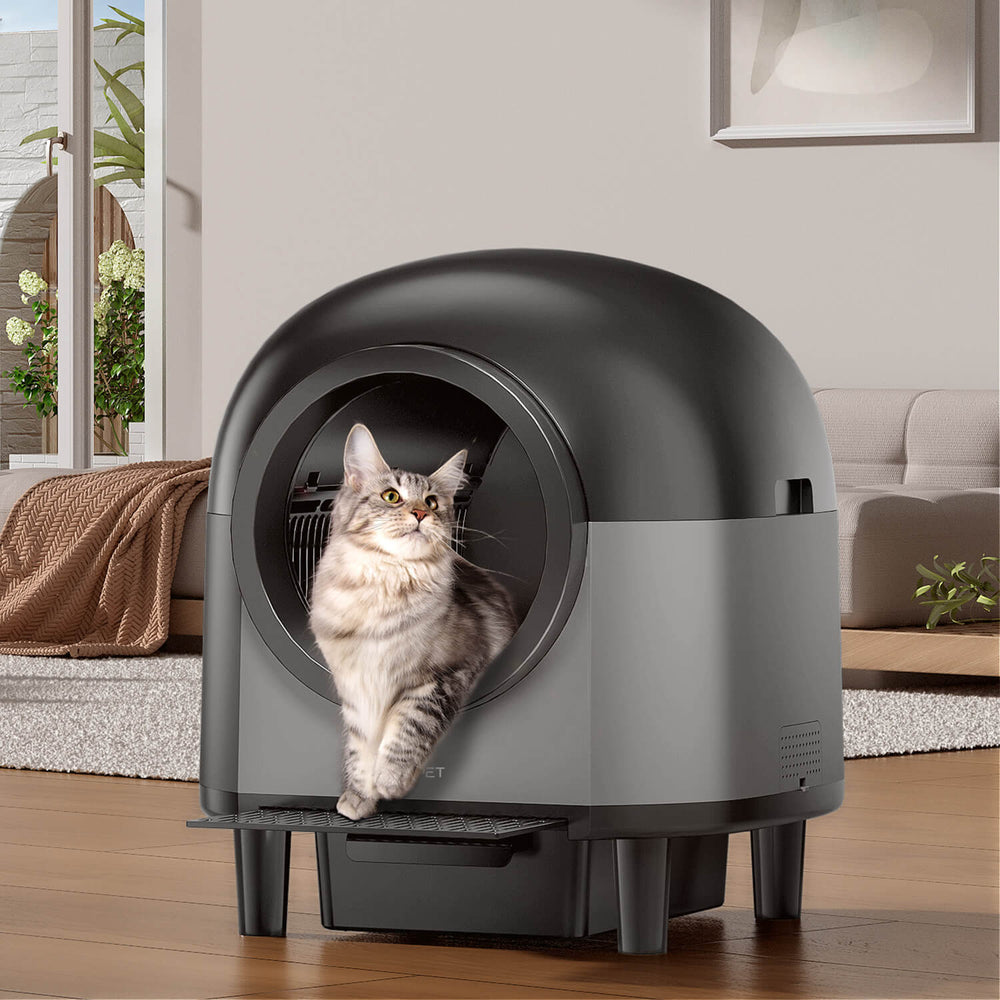 Say Goodbye to Scooping: Meet the OMCPET M1 Smart Self-Cleaning Cat Li